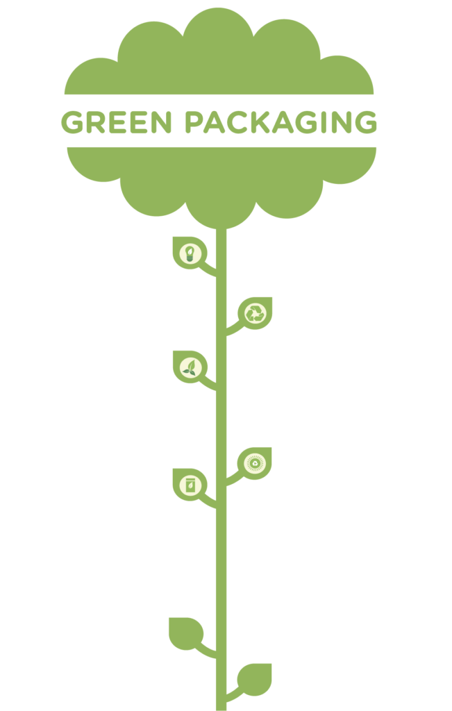 Green Packaging: What You Need To Know About Sustainable Packaging