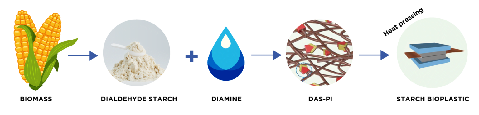 A Guide To Packaging Polymers & Applications In CPG Industr