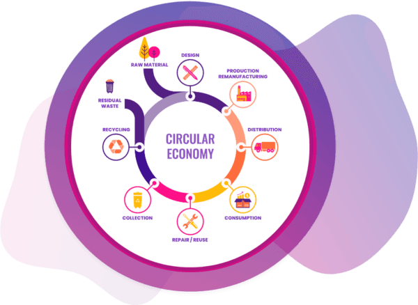 Implementing Circular Economy Principles In Packaging Design