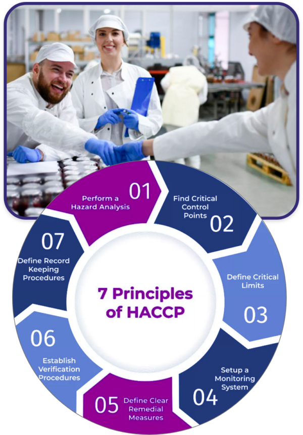 What Is HACCP And Why It Matters In Food Packaging | CarePac